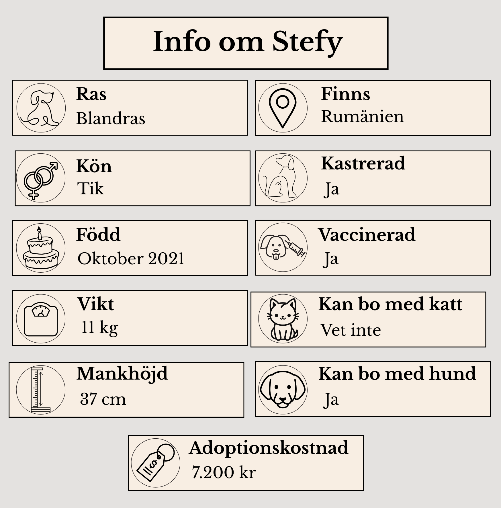 Stefy :: Rolda Sverige